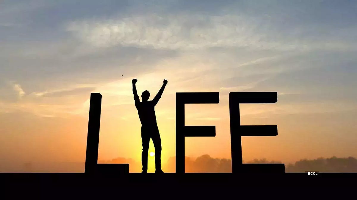 What is life. Life | by Talha Khattak | Jan, 2025 | Medium