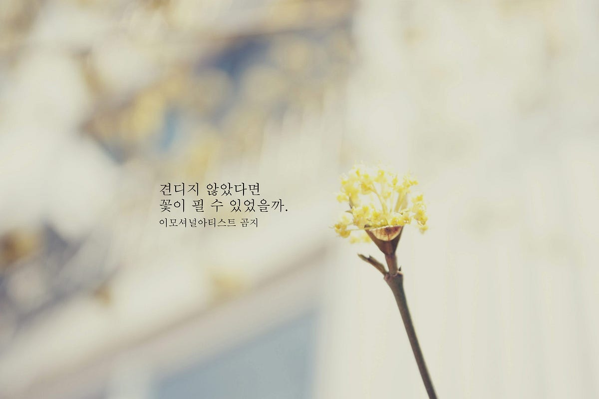 SENSITIVITY FOR HEART #1. EMOTIONAL CONTENT | by 김지성 | Medium