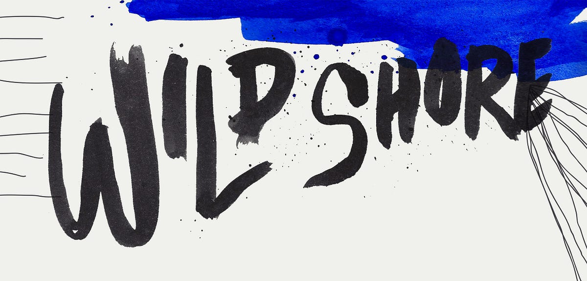 Behind Wild Shore. A deep dive into creating our own brand | by Wild ...
