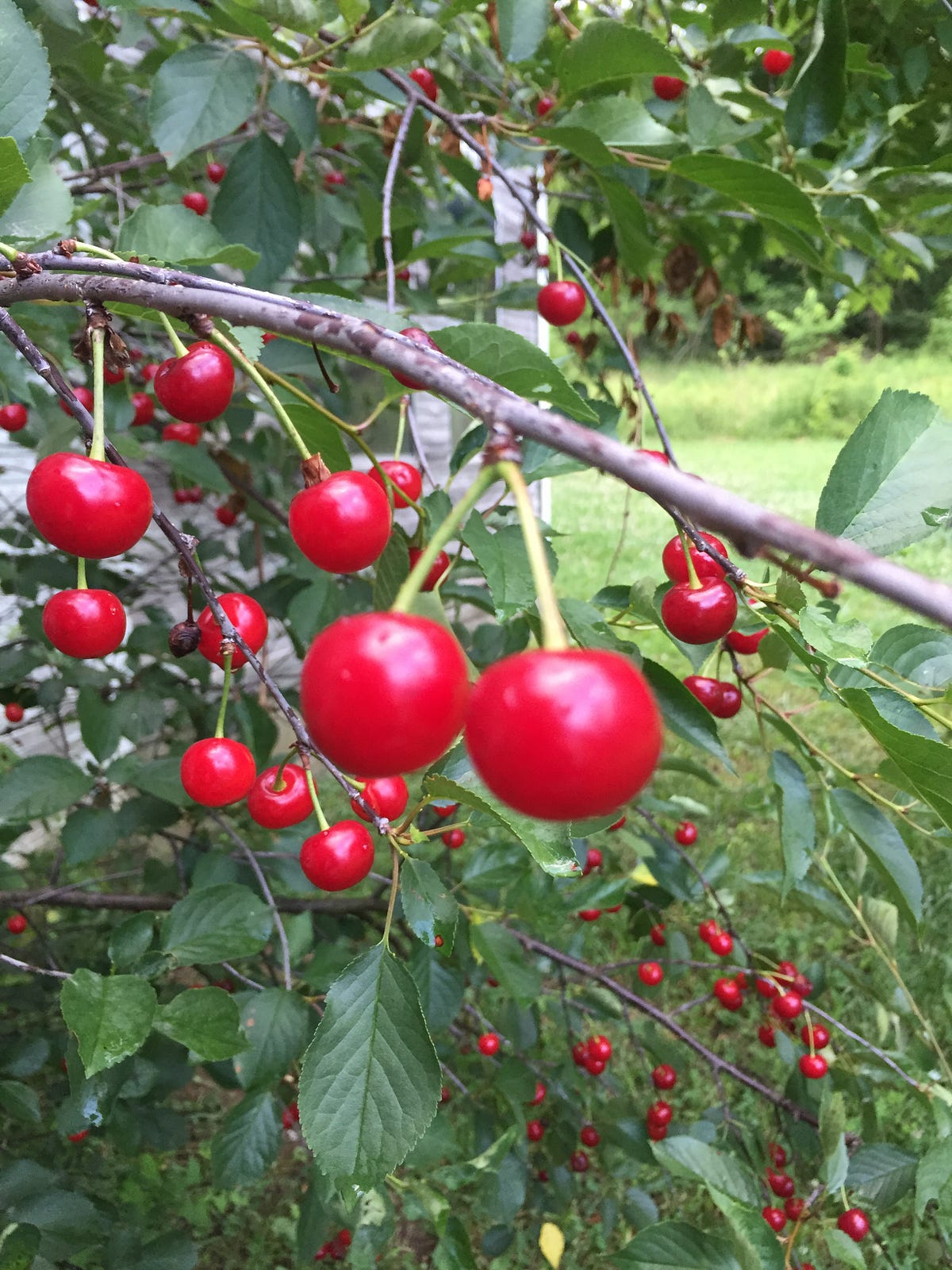 Poly-Skilling UX Specialists. Agile best practices teach that a… | by ...