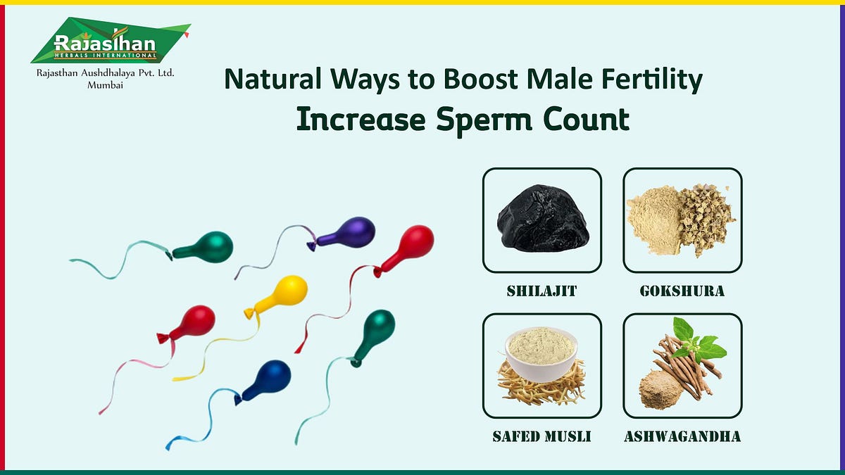 Natural Ways to Boost Male Fertility: Increase Sperm Count | by Aziz ...