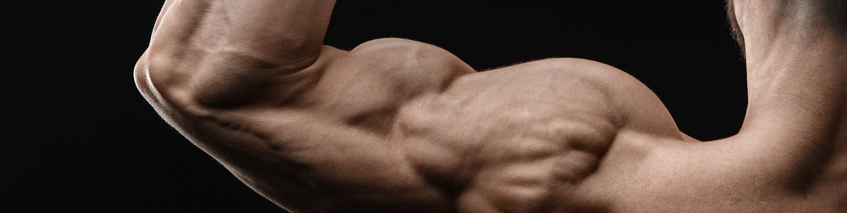 Shoulder Training: Understanding the Deltoid Muscle | by Wellyme | Medium