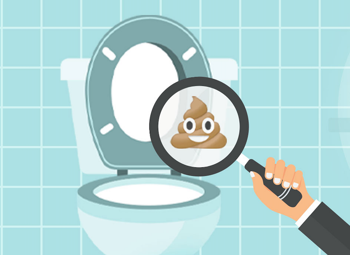 Why Fecal Matters, The Undeveloped Prospects of Human Waste | by ...