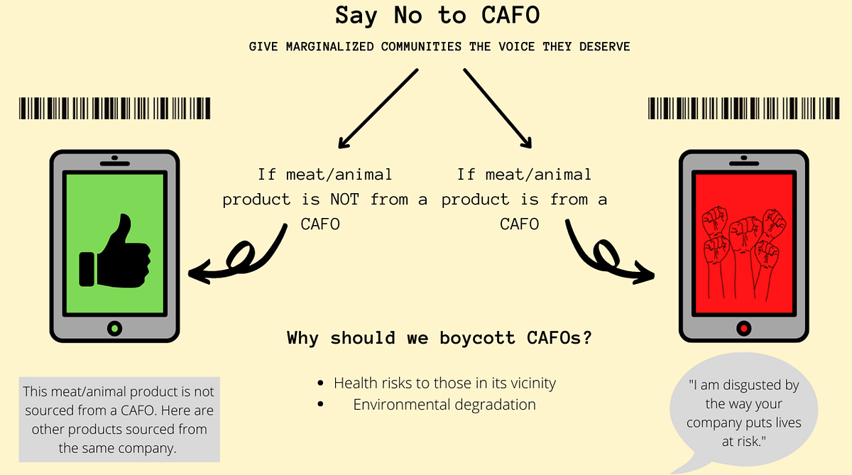 Say No to CAFOs. Using food entrepreneurship as a means… | by Sana ...