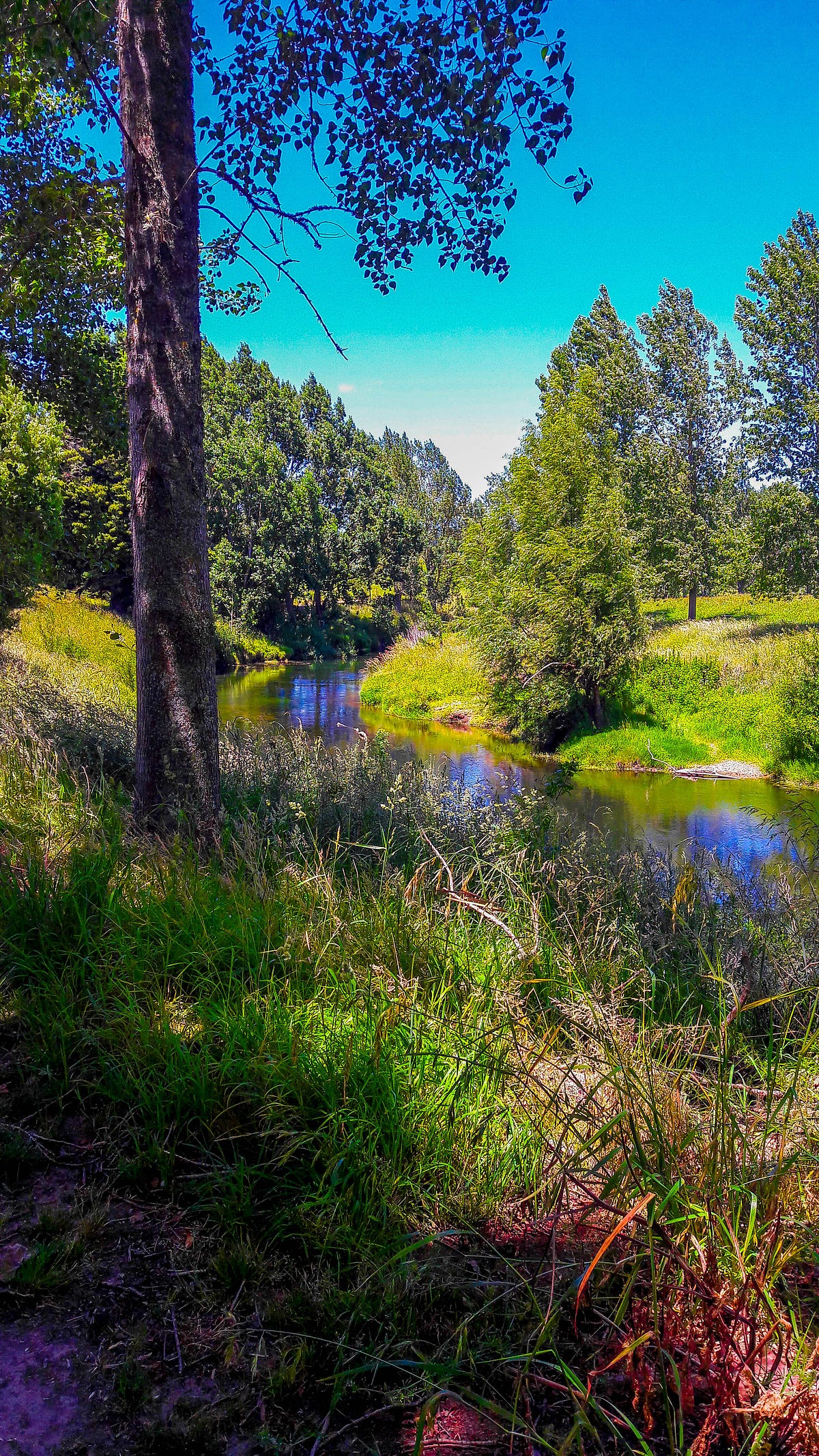 Summer Lovin’. Through spring has barely sprung. | by Justy.247 | Medium