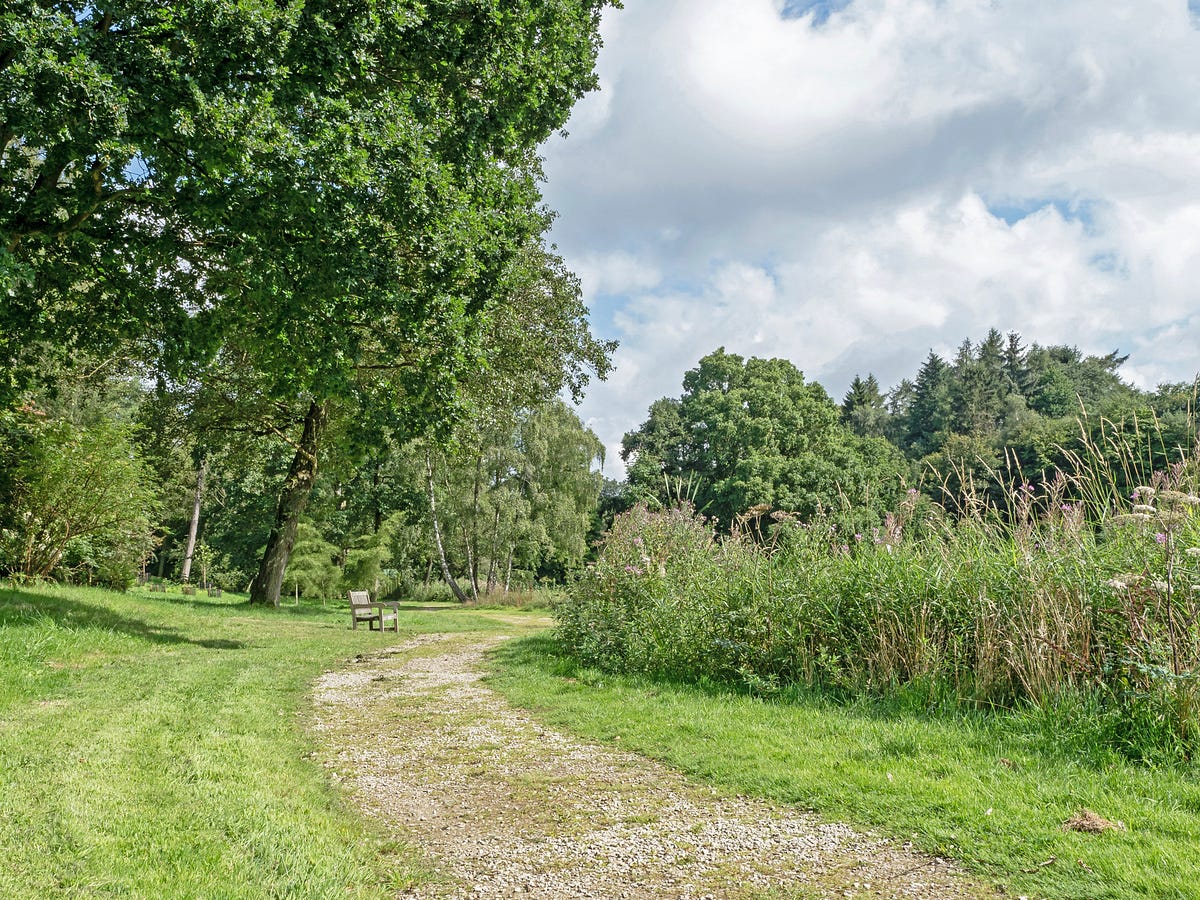 Strolling Around the Yorkshire Arboretum, England | by AngieDawn ...