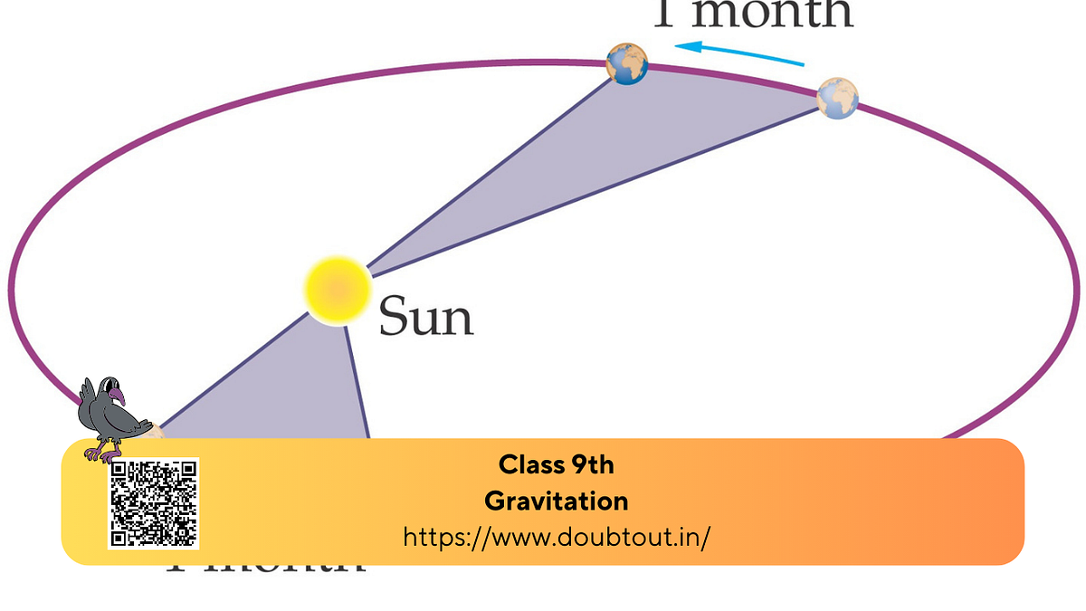 NCERT Solutions for Class 9 Science Chapter 9 — Gravitation (Updated ...