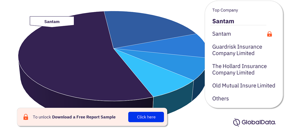 South Africa Life Insurance Market: A Comprehensive Overview | by ...