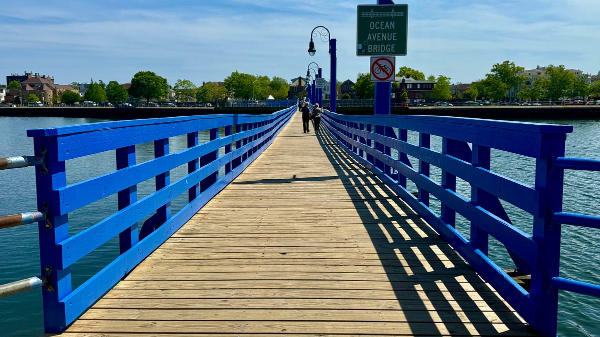 Connection And Reciprocity On A Blue Bridge: Join My 365-Day Peaceful ...
