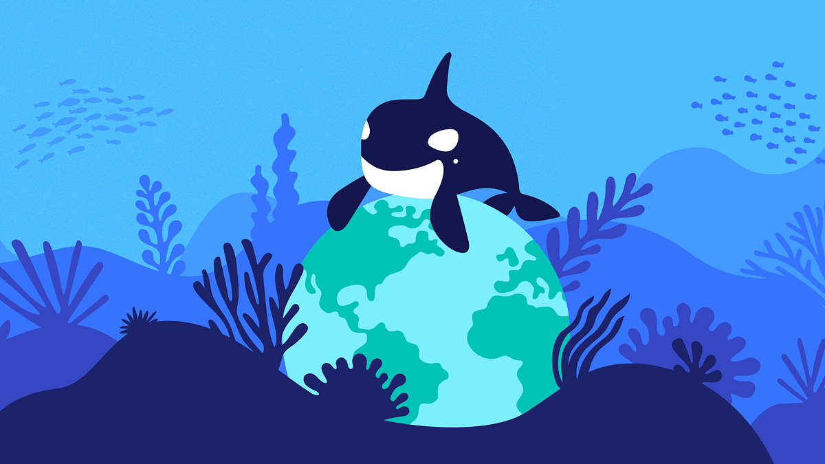 Introducing the Orca Climate Fund | by Orca | Orca | Medium
