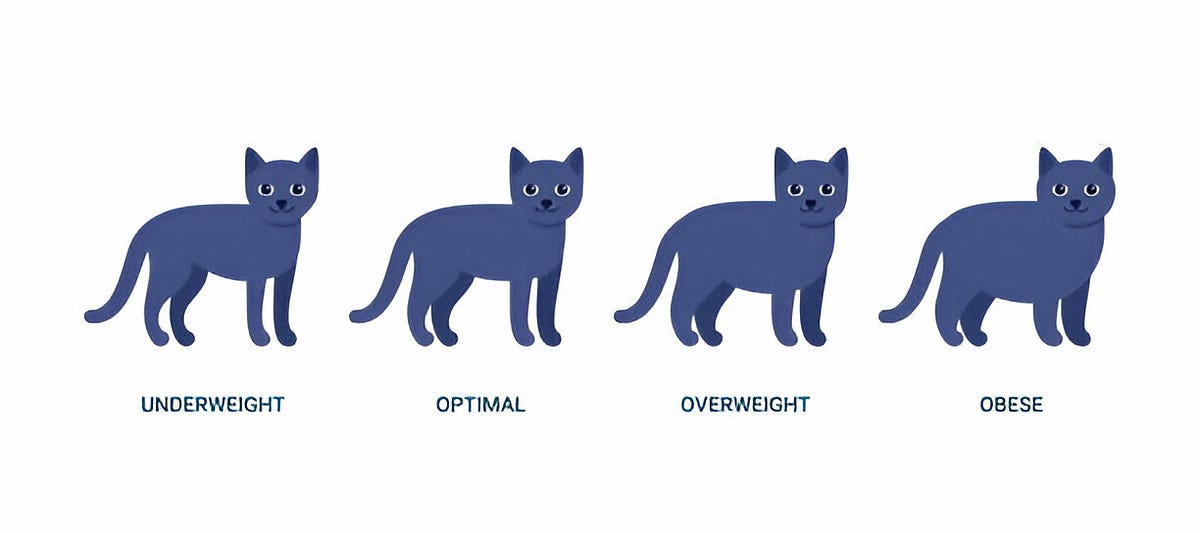 What is the recommended size for a cat tree based on your cats size ...