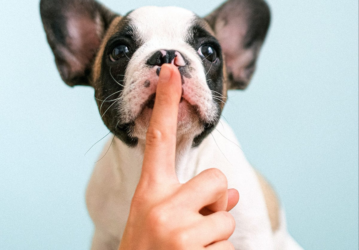 How to Succeed on Substack: 5 Unusual Tips That Nobody is Talking About on YouTube | by SALAH ...