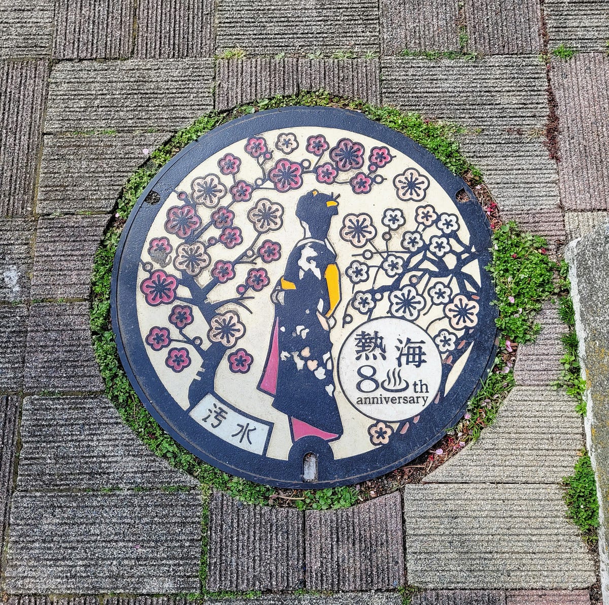 Japanese Manhole Covers. People are very excited to see designer… | by ...