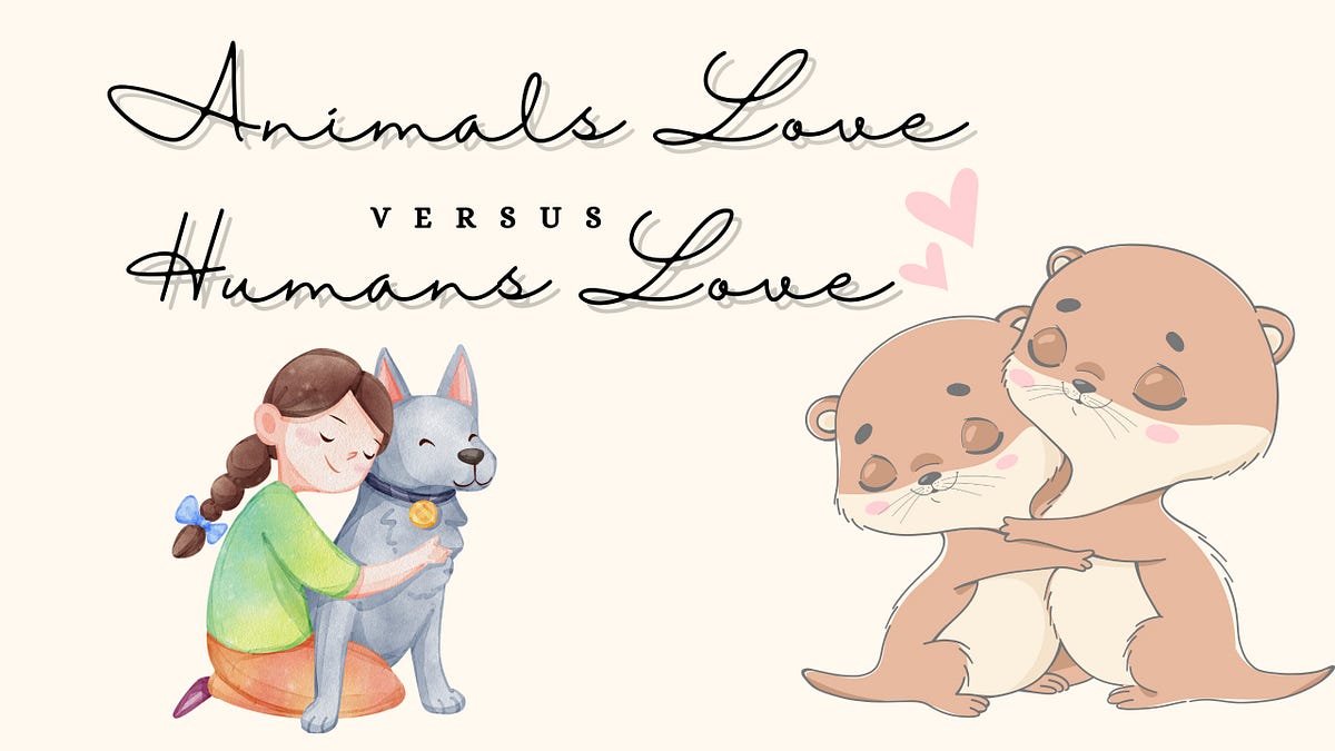 If we all Loved like Animals Love | by Babbling Biologist | Medium
