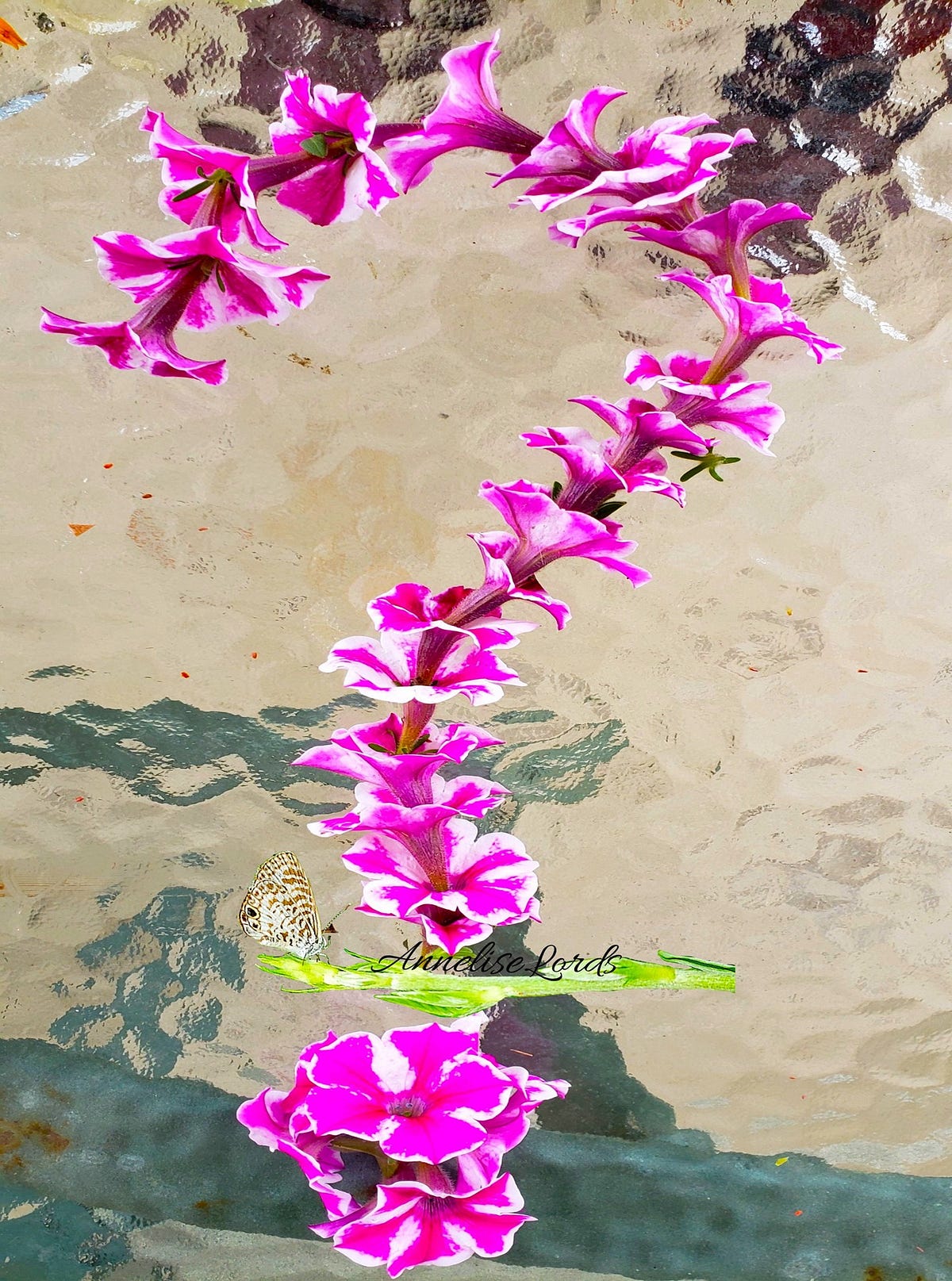 Stupid Questions — Sensible Answers | by Annelise Lords | Essence of Freedom | Dec, 2025 | Medium