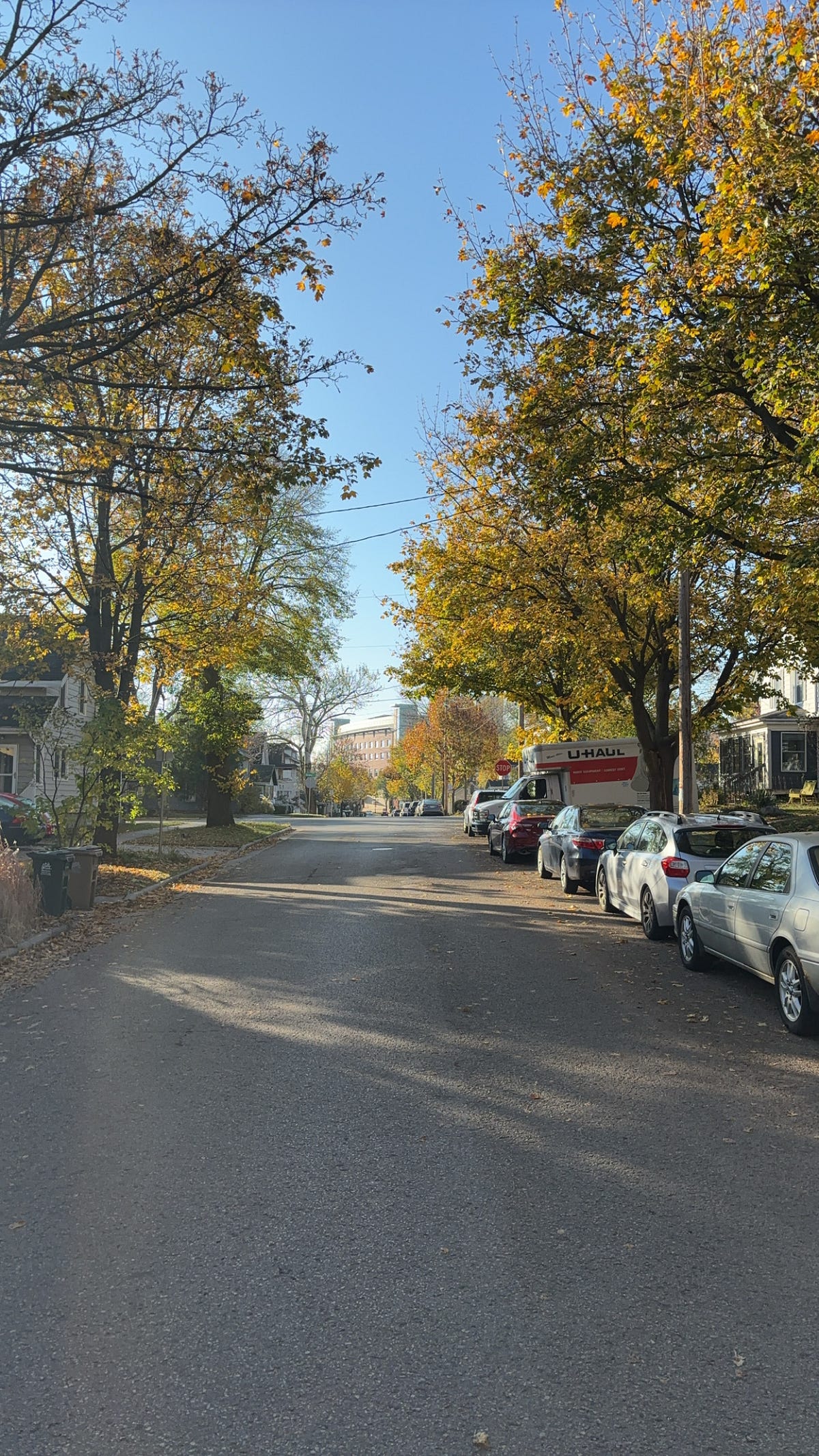 Scrabbling and Fraternizing in Madison: Day 2 | by Matt Canik | Medium