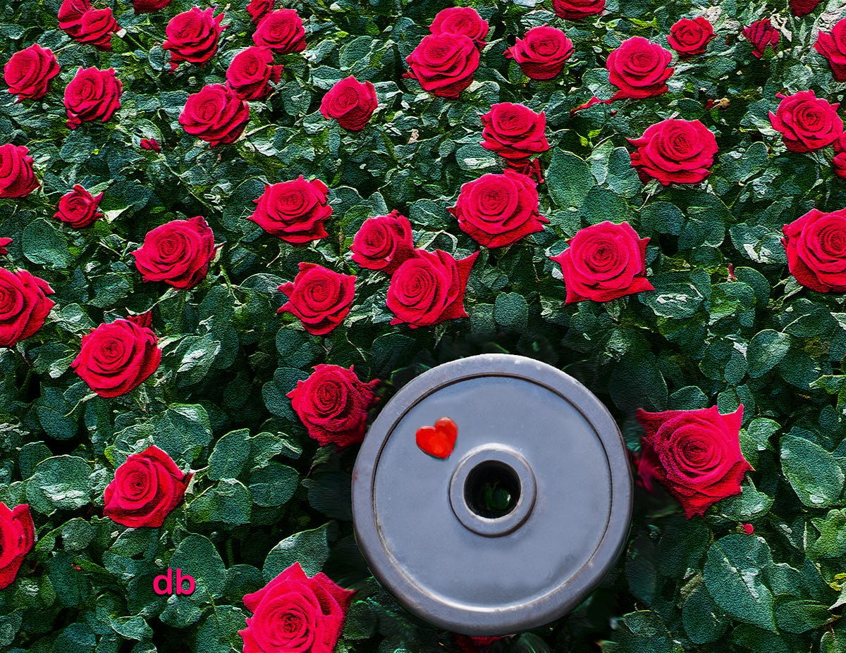 An Emotional Extortion Exercise. Training my trainer on a Valentine’s… | by Darrel Boyd | The ...