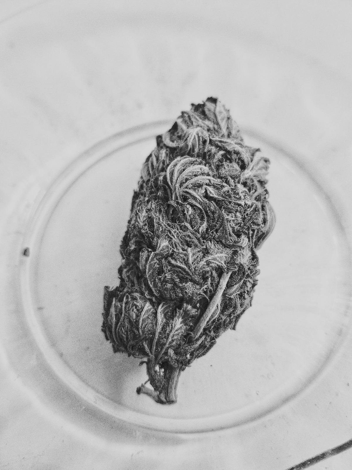Over-thunk. 26 May 2021 Wednesday Prose Poem… | by Jeff Langley ...