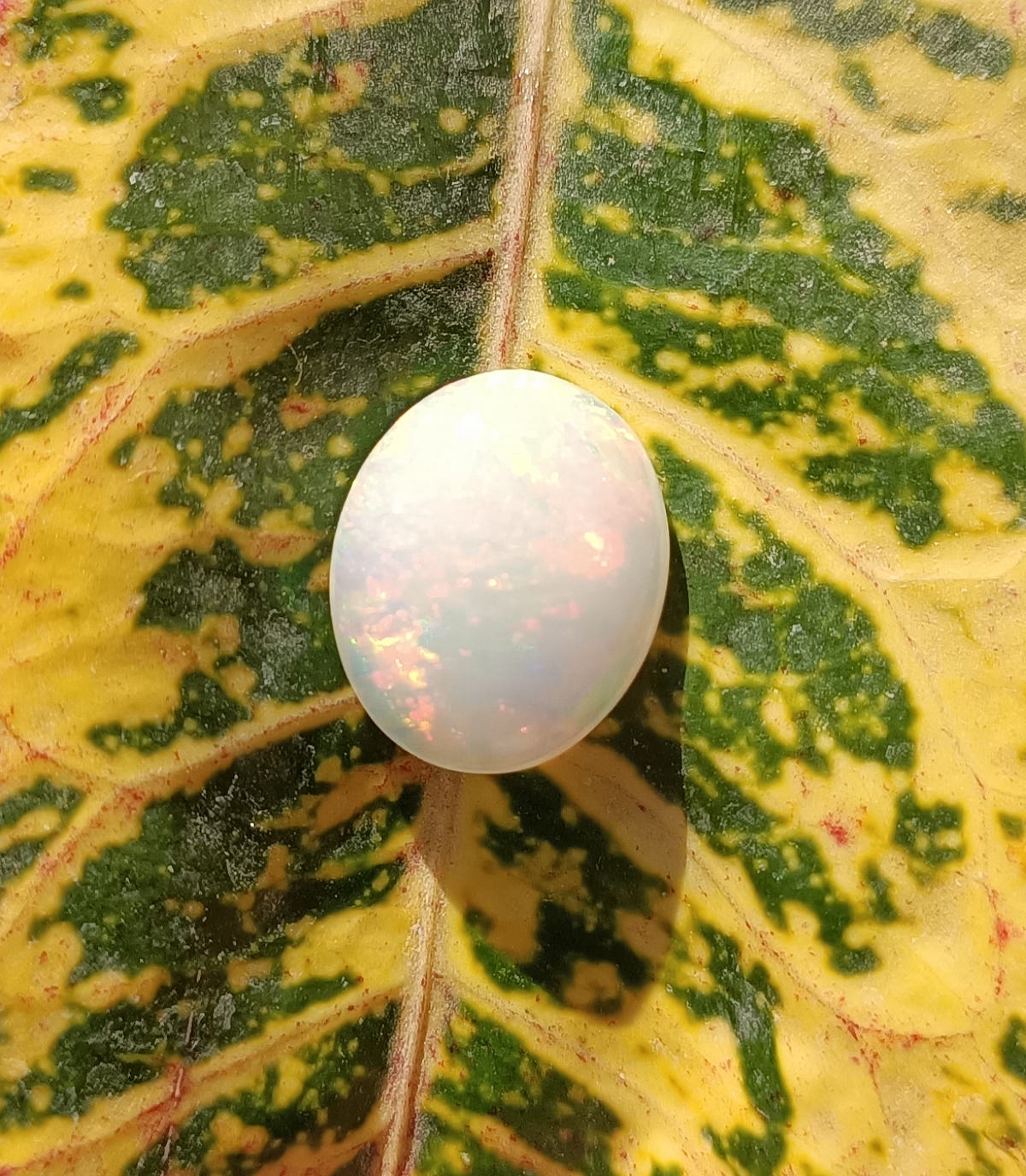 How Opal stone Helps you disperse fear | by Kiran Gems | Medium