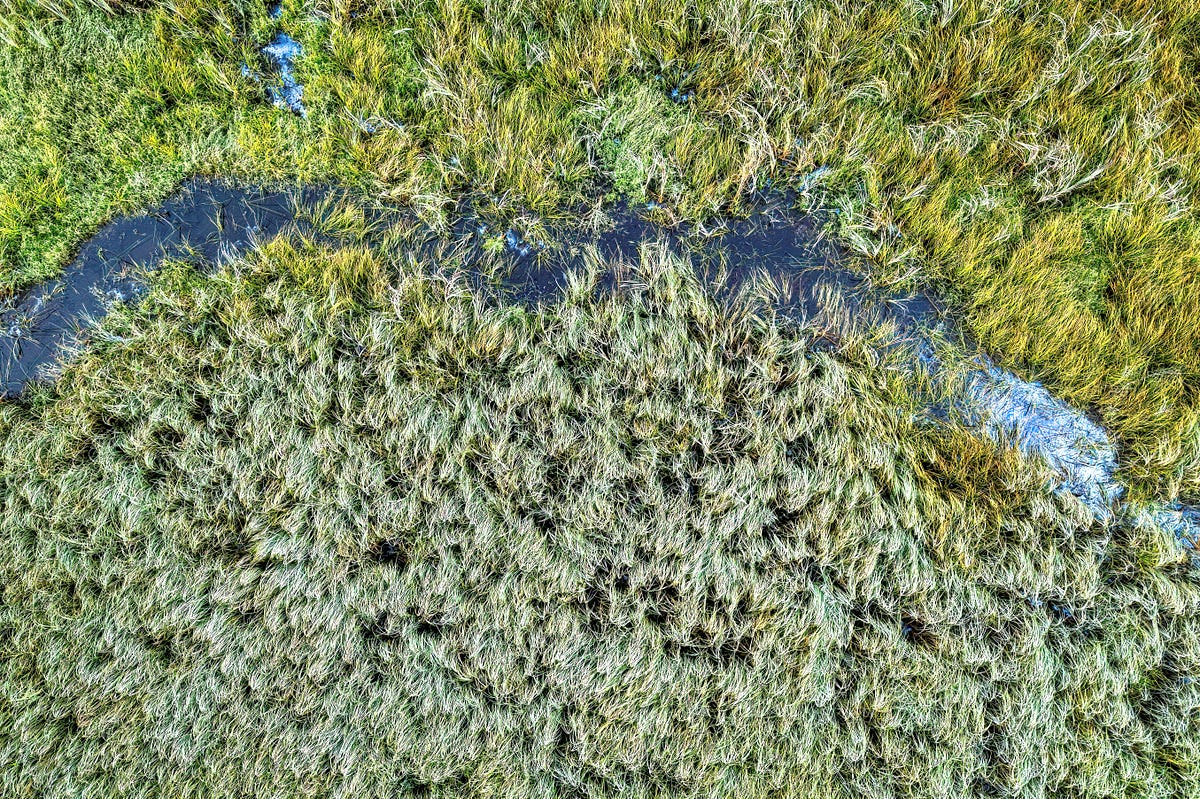 The rush of the river, a story in motion - Daily Poems 🫀 - Medium