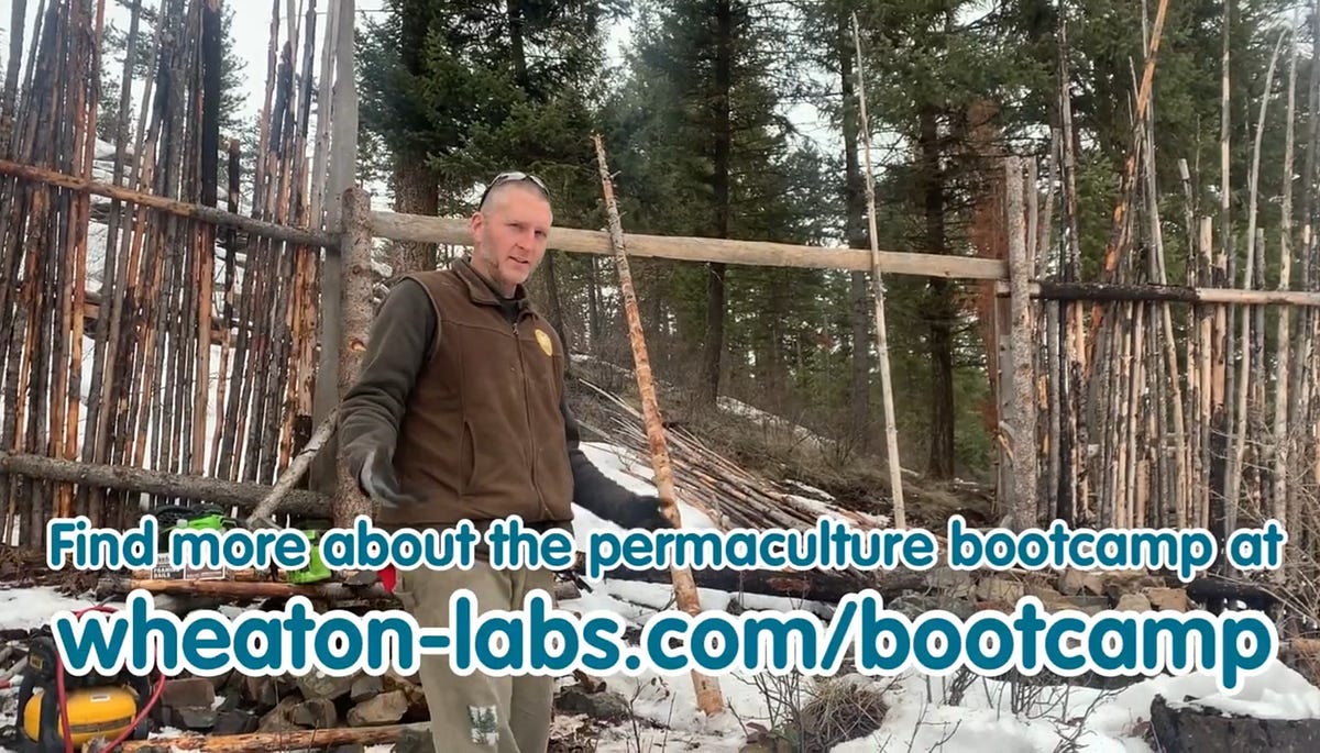 Reviving junk pole fence permaculture boot camp experience | by Permies ...