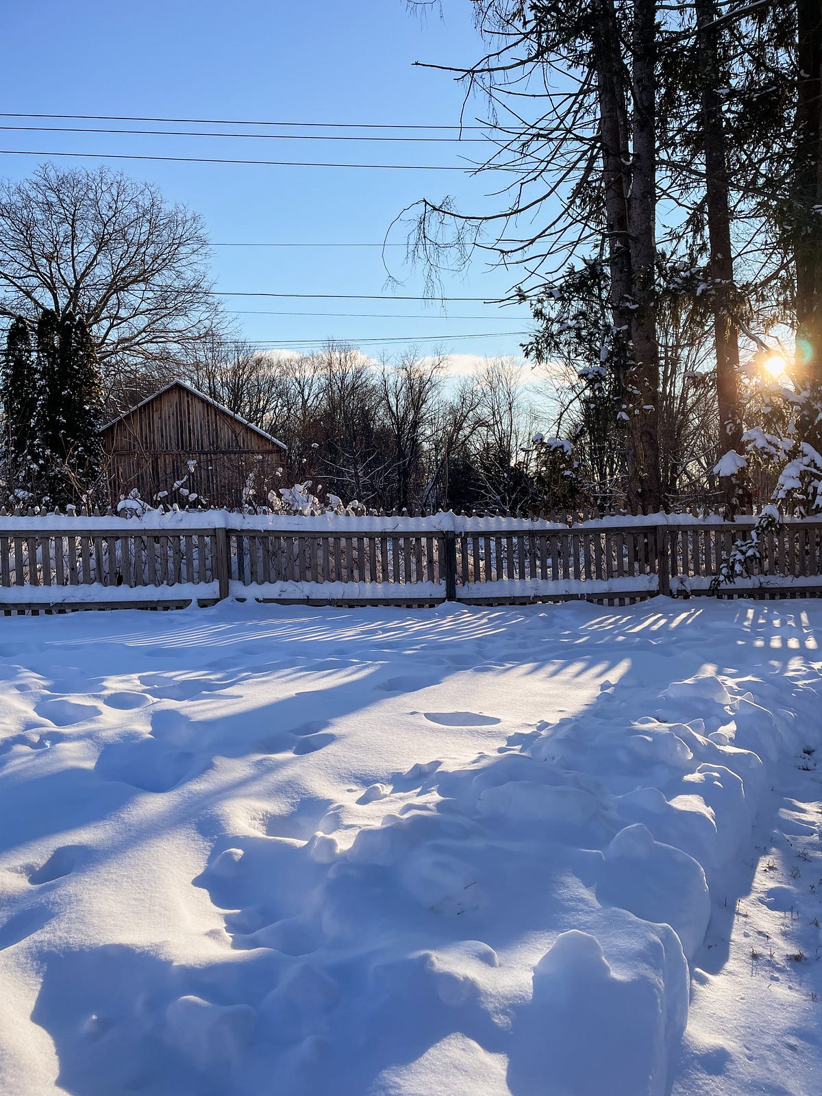 Light on Snow - The Daily Cuppa - Medium