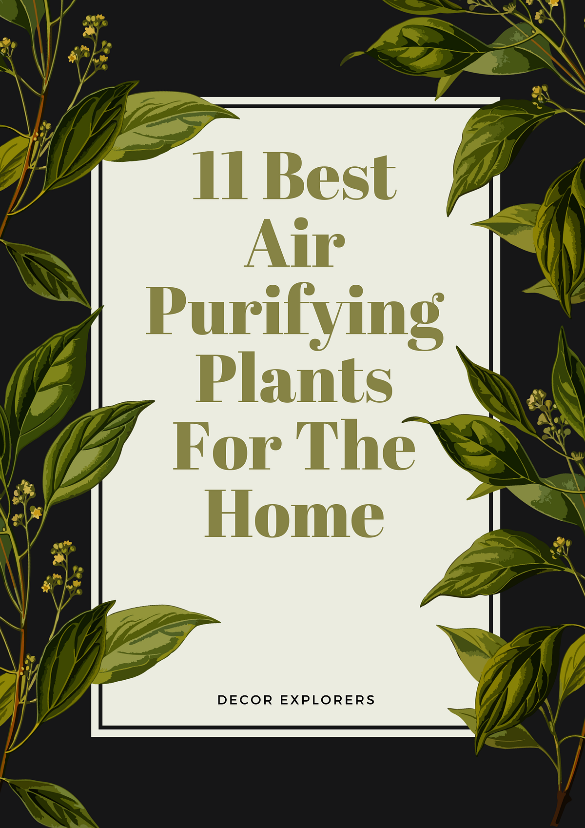 11 Best Air Purifying Plants For The Home | Decor Explorers