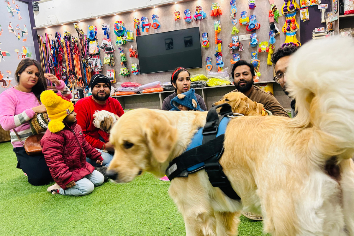 Ensure Your Pet’s Well-Being at the Best Pet Experience Center in ...