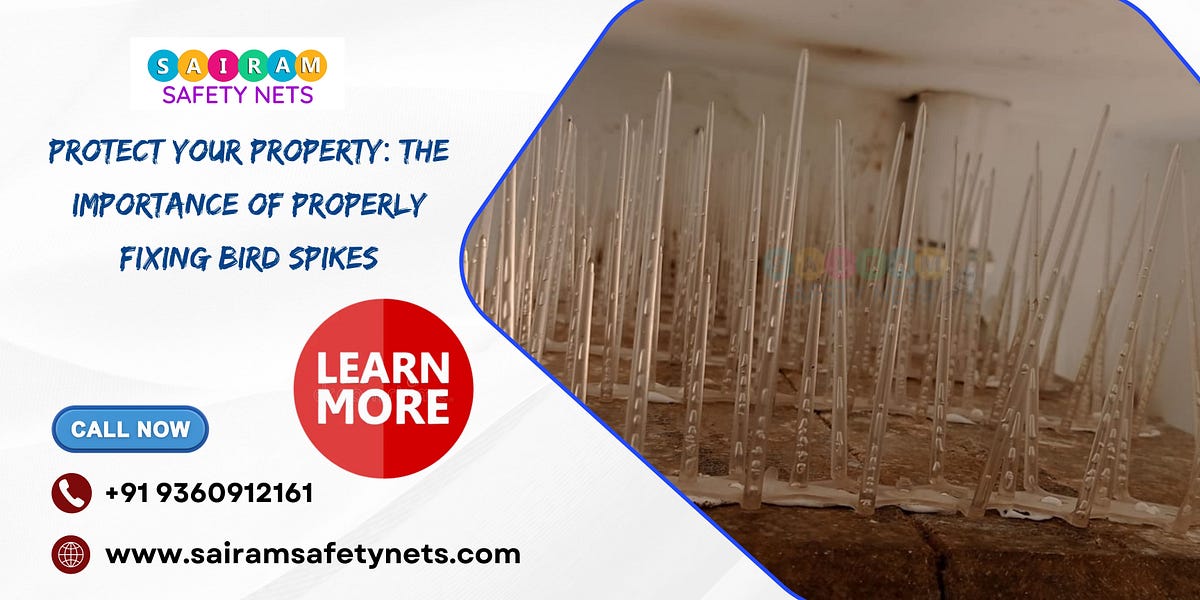 Protect Your Property: The Importance of Properly Fixing Bird Spikes ...