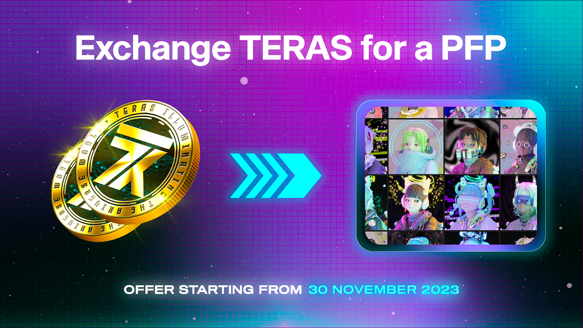 Launch of Exchange Teras for PFP Program | by AKIVERSE | AKIVERSE | Medium