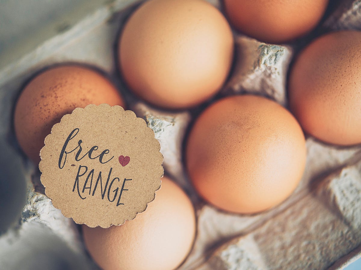 100% Free Range Marketing Consultant | by Thea Partridge | Medium