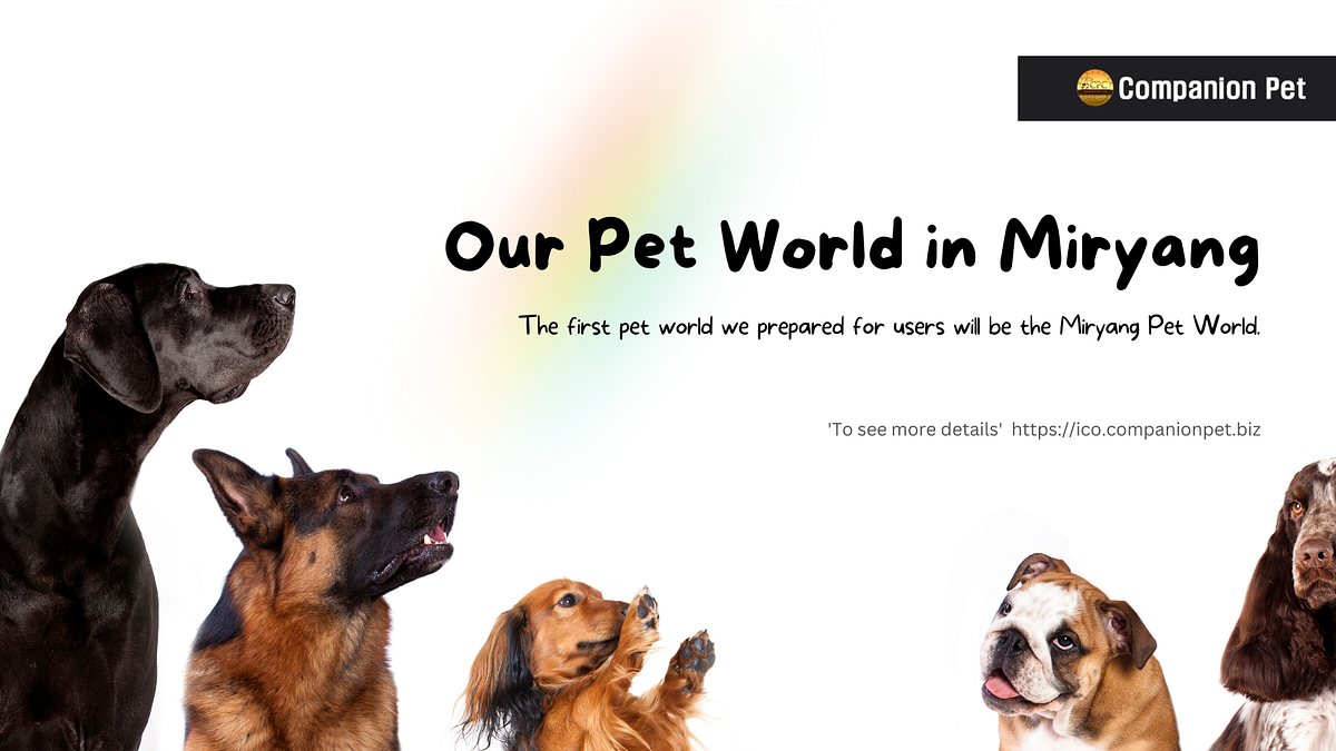 Our Pet World in Miryang - Companion Pet World - Medium