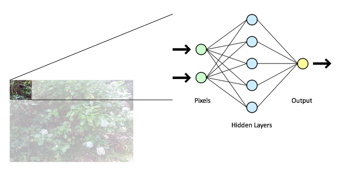 Learning about Data Science — Building an Image Classifier | by Gabriel ...