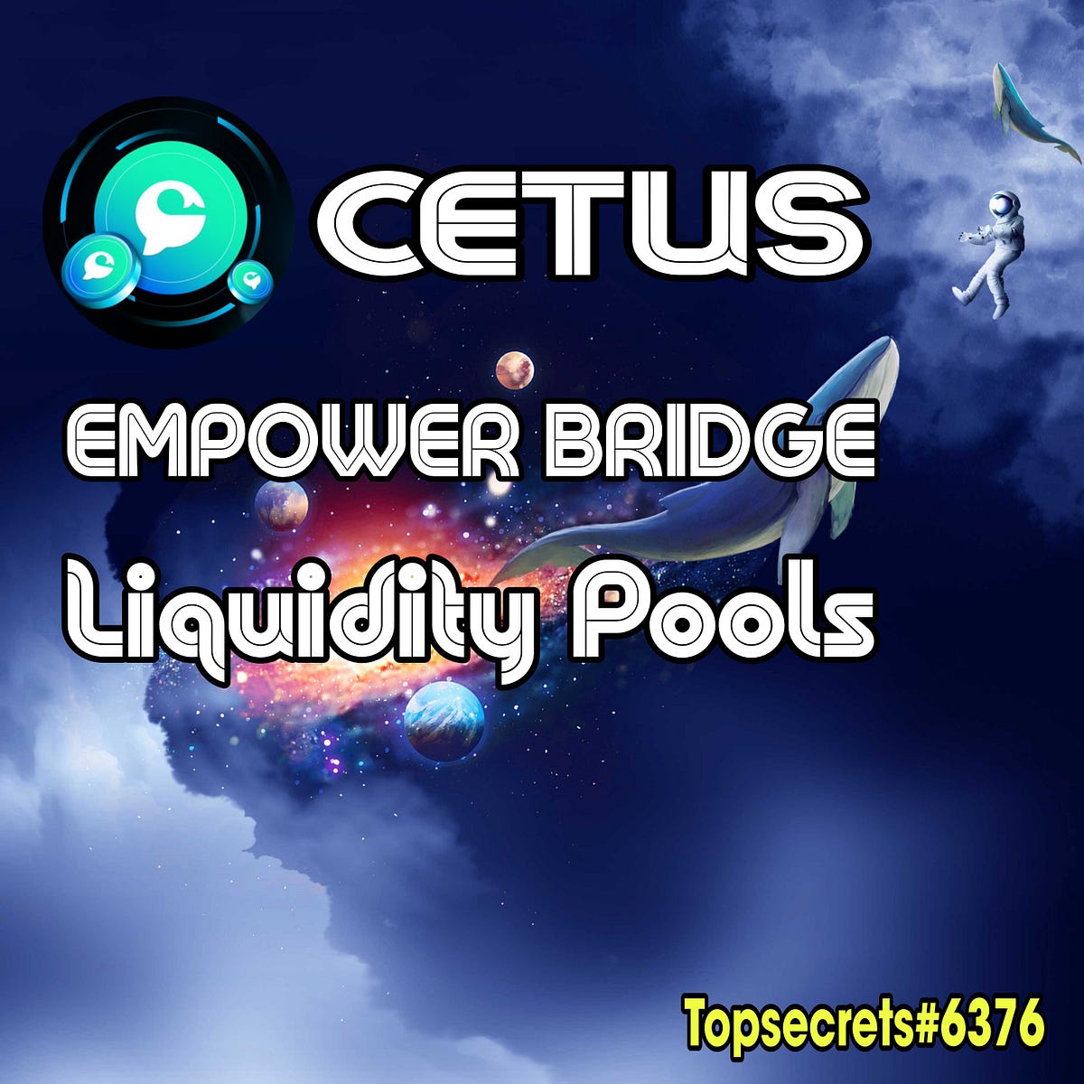 Cetus Protocol. How to Swap and add liquidity. | by Coin Hunter | Medium