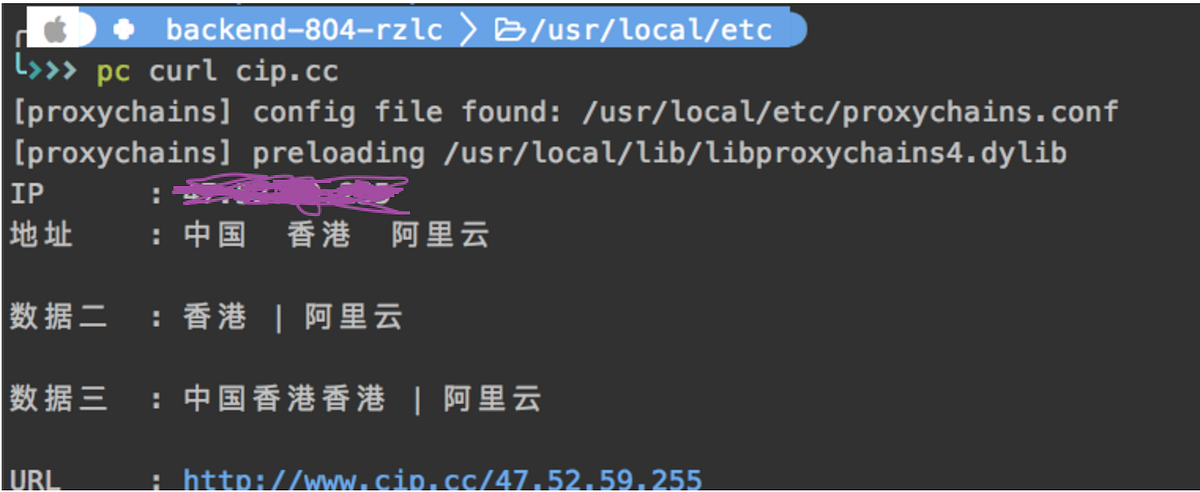Mac OSX 使用proxychains-ng. 让命令行装包飞起来🚀🚀🚀 | by qinglin xiao | Medium