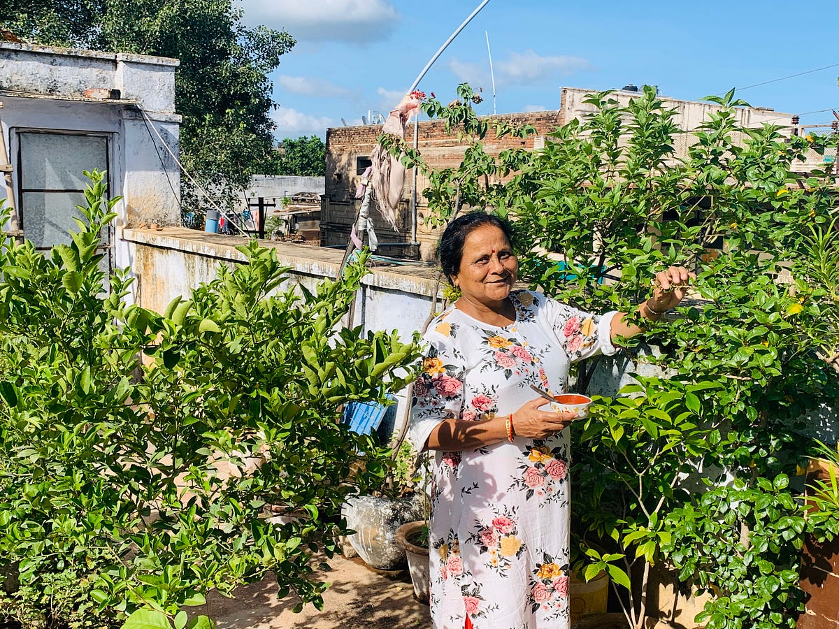 Helpful Tips for Growing Food at Home — Sustainable Living | by Akriti ...