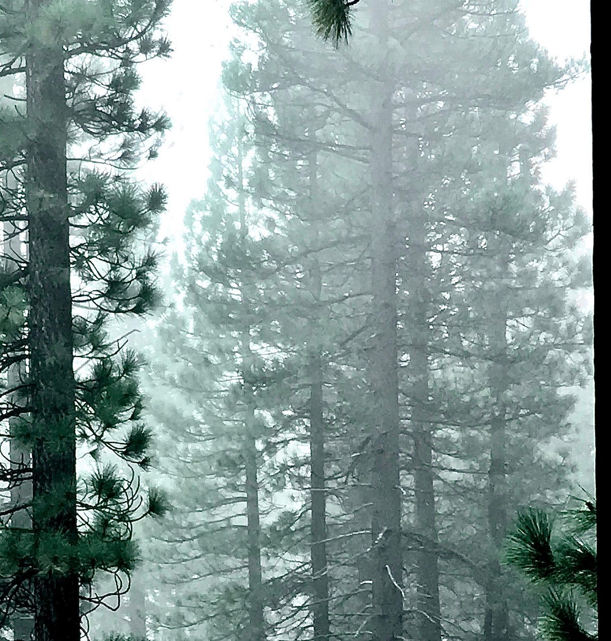 Intuition. Overwhelming dread a quivering line on… | by K.B. Silver ...