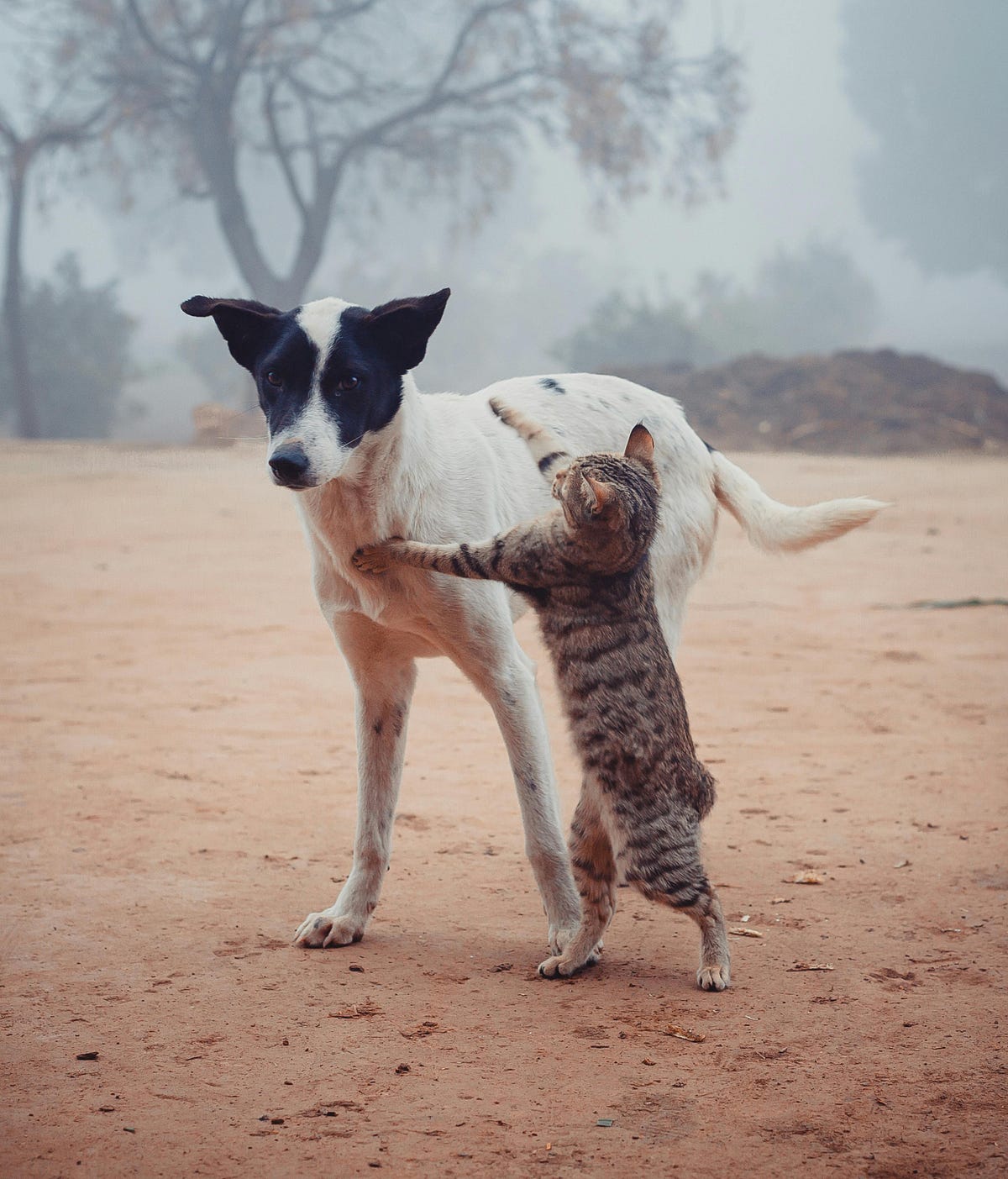 Is There Such a Thing as True Friendship? | by Vee Hudson | Nov, 2024 ...