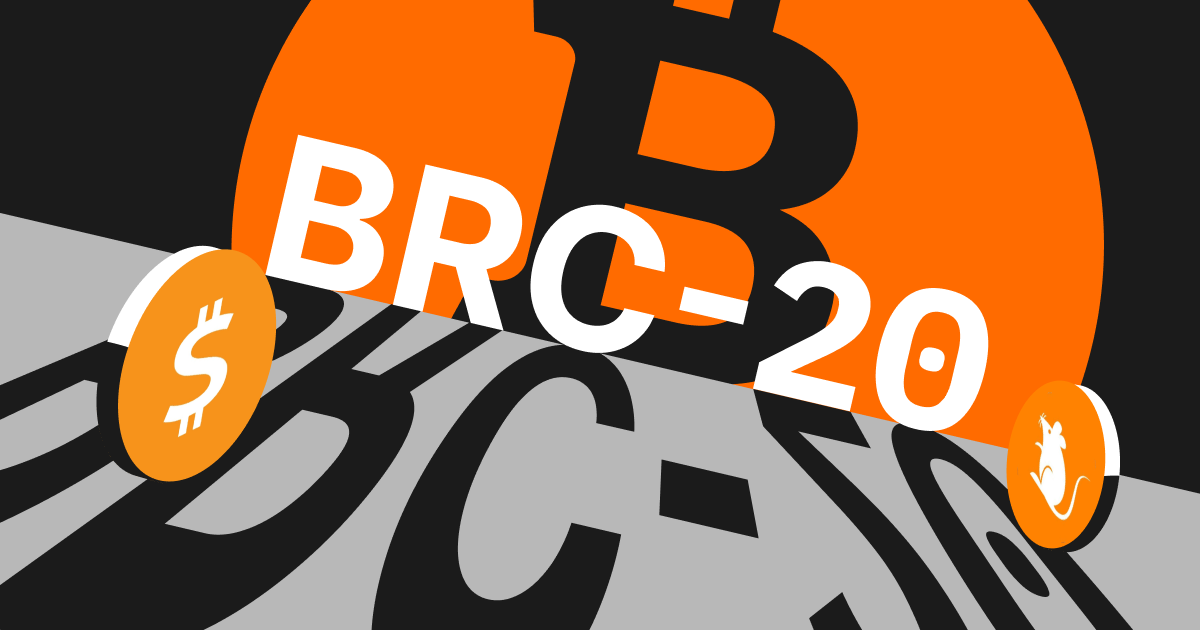 Things To Know About BRC20. BRC20, an acronym for “Binance Smart… | by ha1oQ | Medium