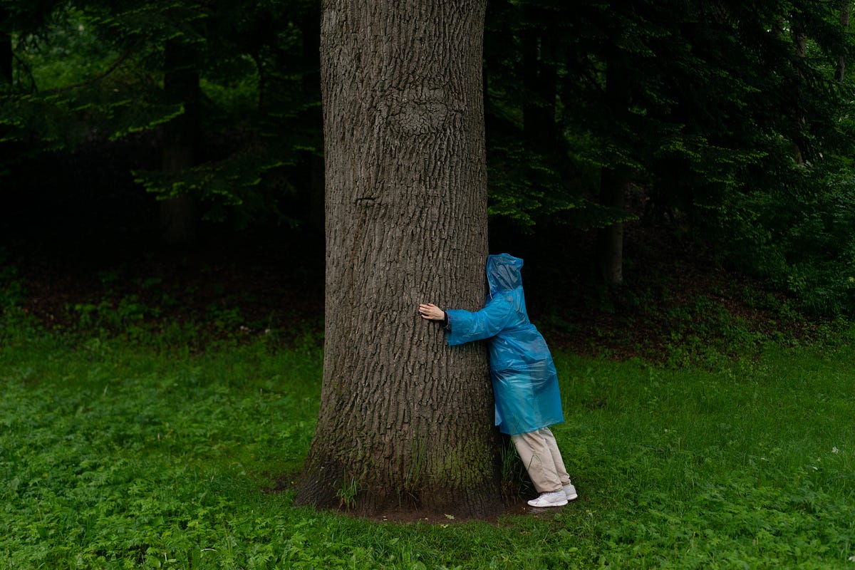 Ultimate Leetcode Challenge — Blind List By Akshay Ravindran Javarevisited Medium