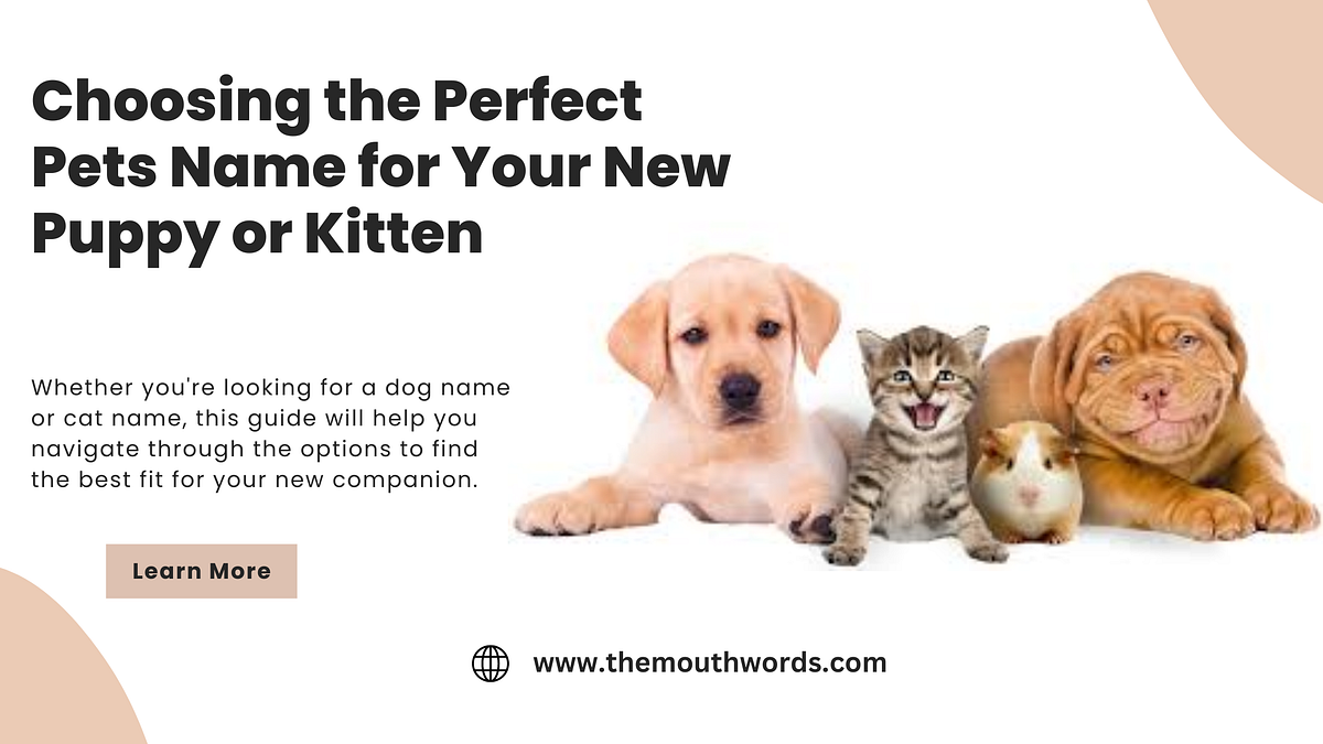 Choosing the Perfect Pet’s Name for Your New Puppy or Kitten | by Pet ...