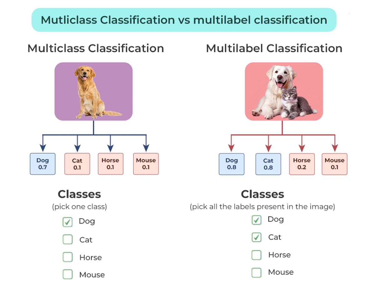 Multiclass vs Multilabel classification in a minute | by Rishabh Singh | Artificial Intelligence ...