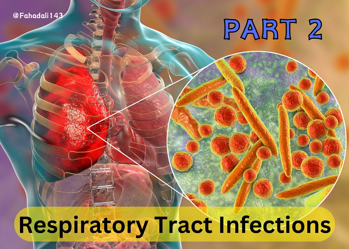 Infection: Upper & Lower Tract Infections Part 2nd. | by Fahad ali ...
