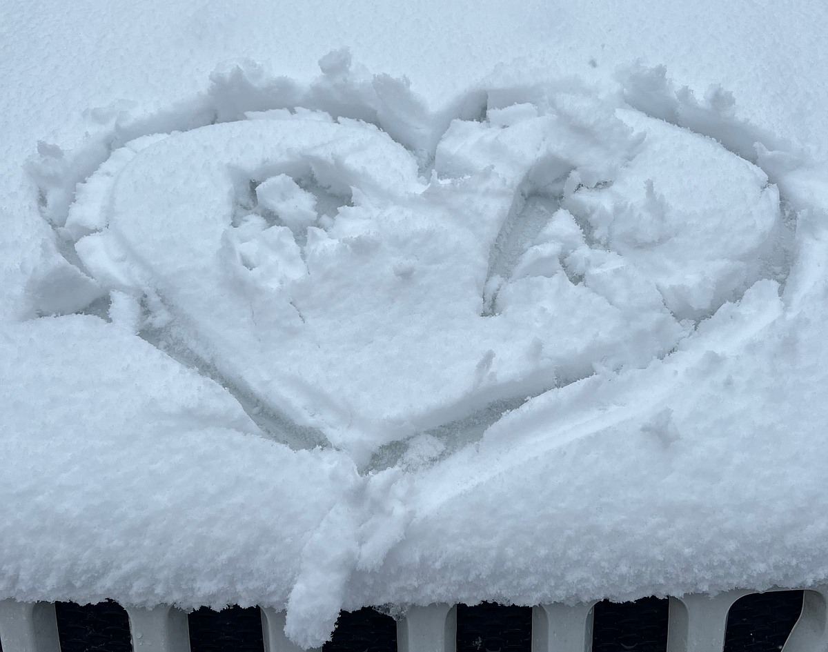 A Winter As Cold As You. A poem about winter evoking the pain of… | by ...