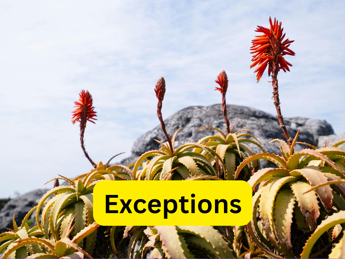 Understanding Exception Hierarchies in C# | by Ivo Manolov | Level Up Coding