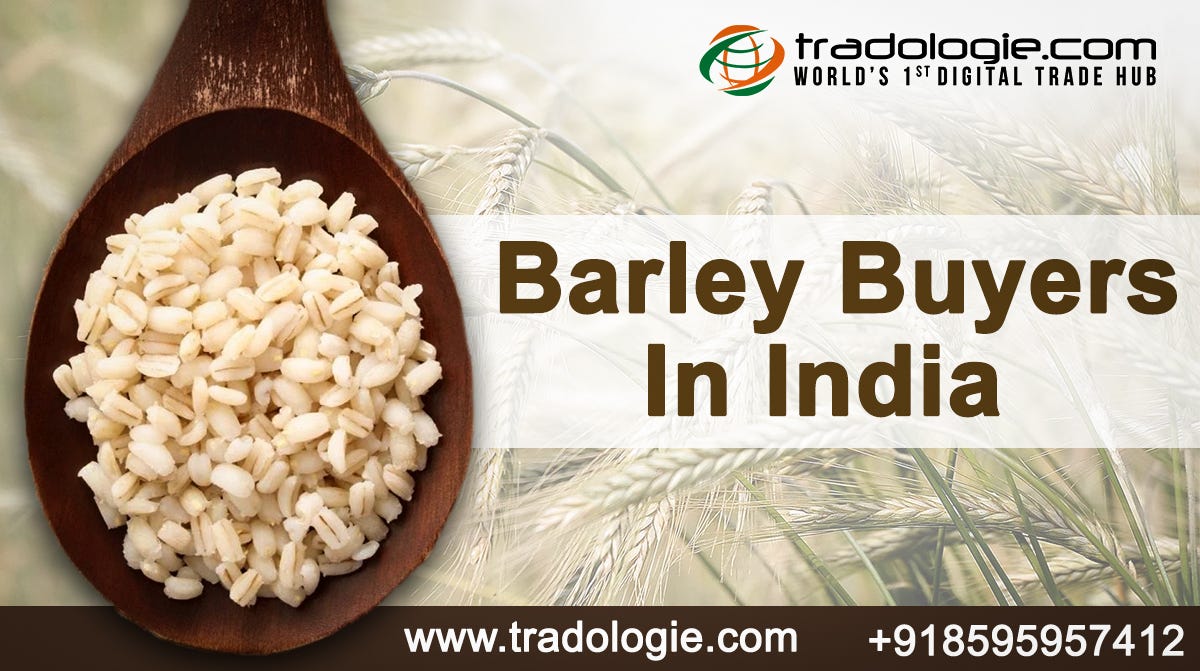 Barley buyers in India. Barley is amongst the most spatially… | by ...