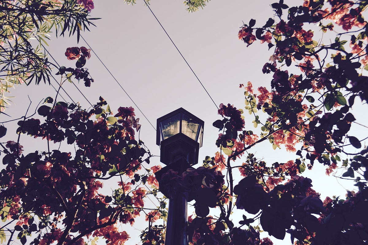 Art in Everyday. IA #1 “AESTHET” | by Kriston Enrico Villas | Medium