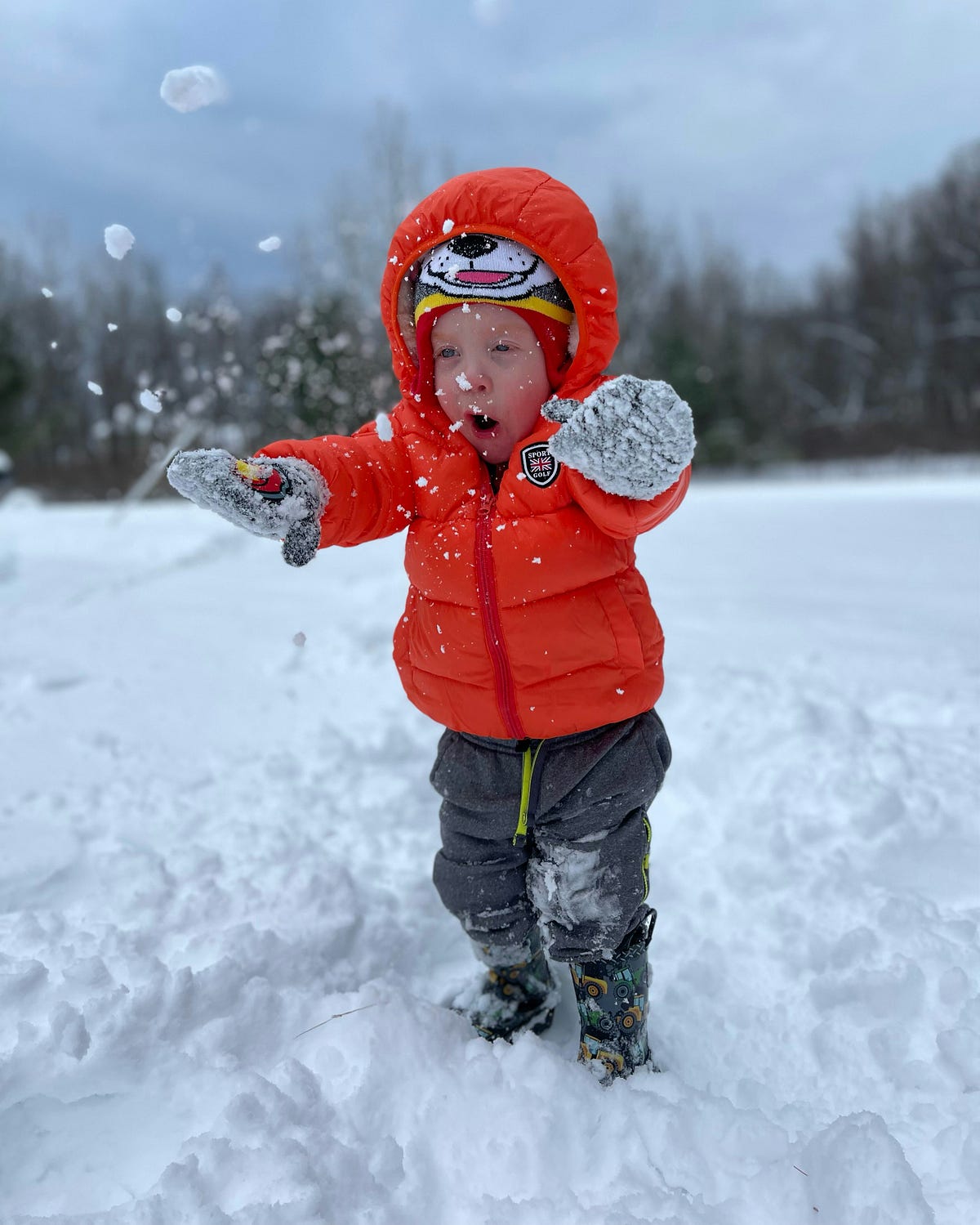 A takeaway about Thoreau and snow | by John Ullmen | Modern Leaders ...