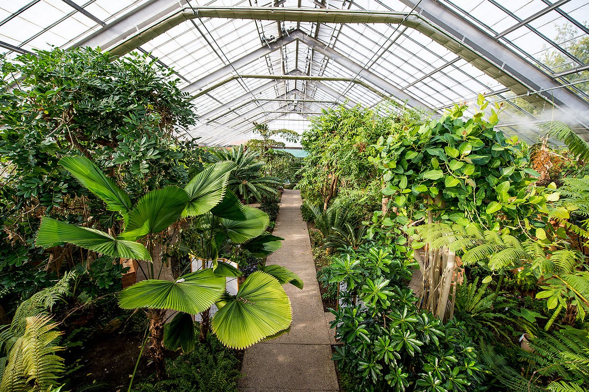 Matthaei Botanical Gardens. Matthaei Botanical Gardens: A Lush… | by OT ...