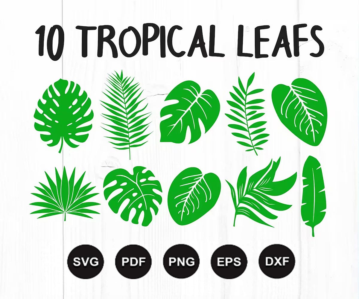 Tropical Leaves Svg Bundle, Tropical Leaf Svg, Palm Leaves Svg, Palm Branch Svg, Jungle Leaves ...